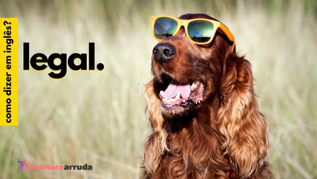 5 Maneiras de Dizer "Legal" em Inglês - Inamara Arruda