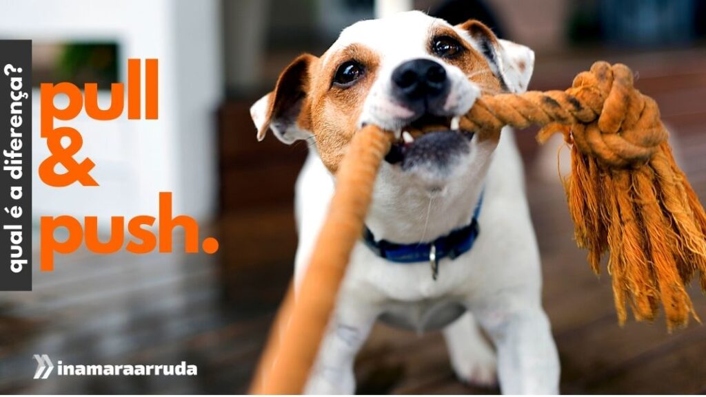 Qual a diferença entre “Pull x Push” em Inglês? - Inamara Arruda