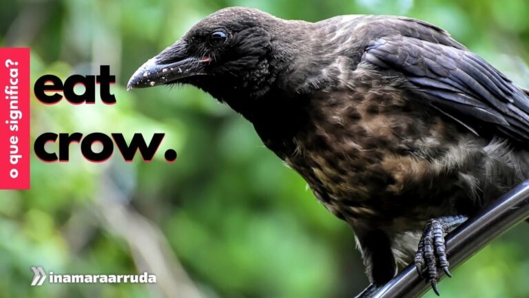 O que significa a expressão "Eat Crow" em inglês? - Inamara Arruda